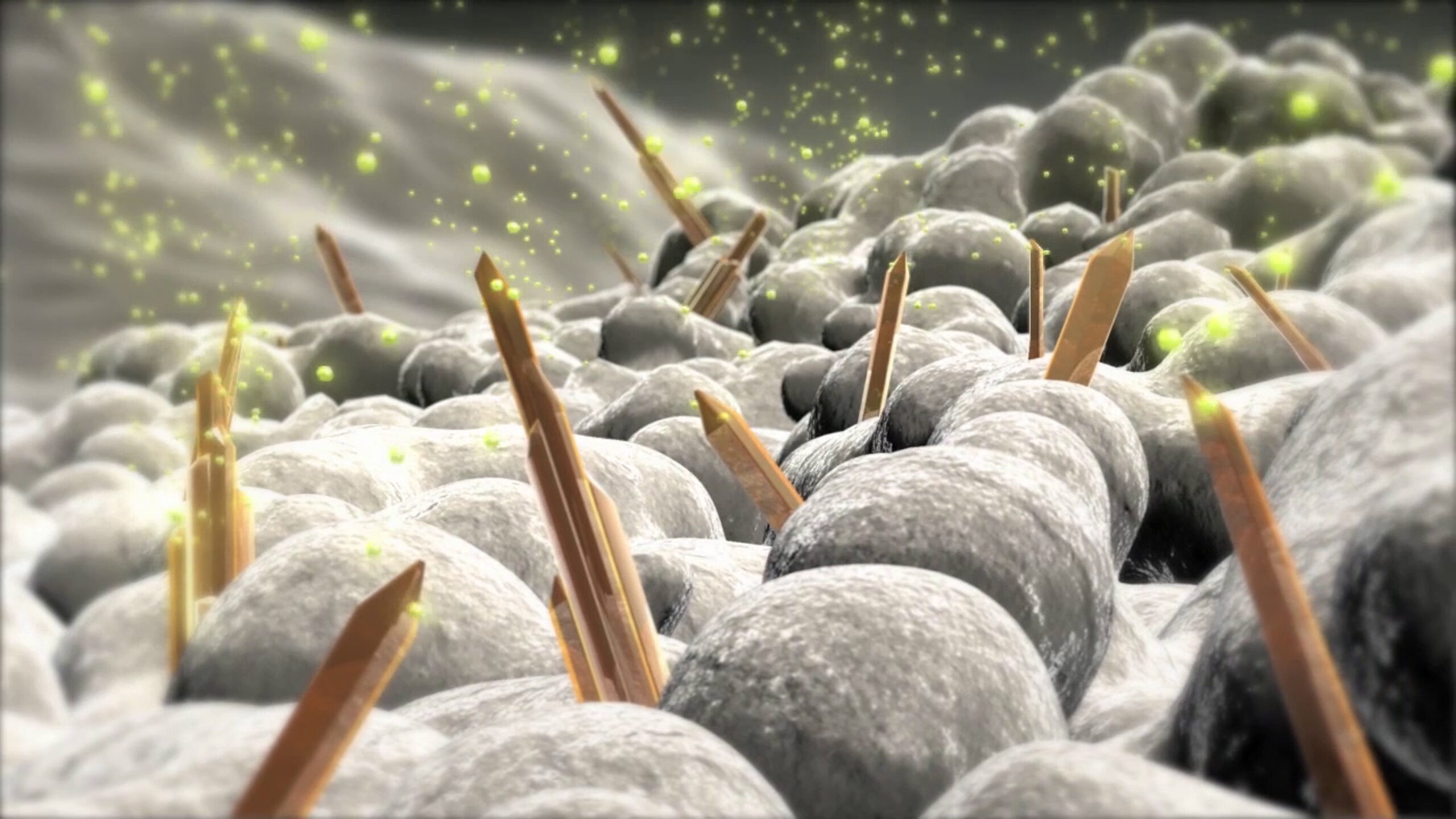 Leading the way in bone regeneration with a European research project ...